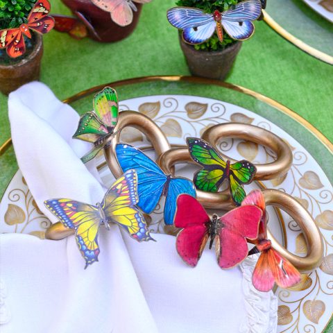 FLUTTER FUN - Mississippi Magazine